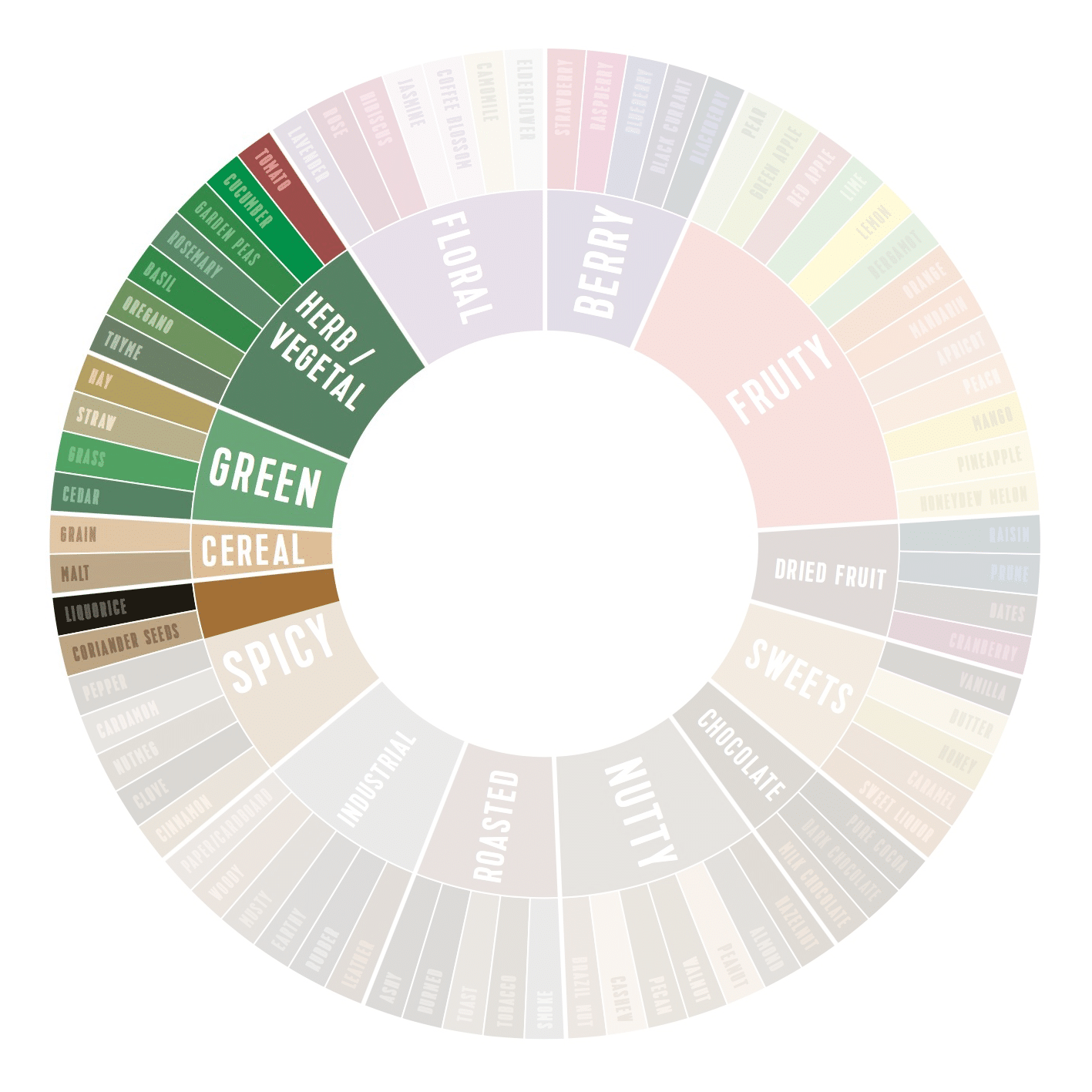 Understanding Flavours | IKAWA Coffee